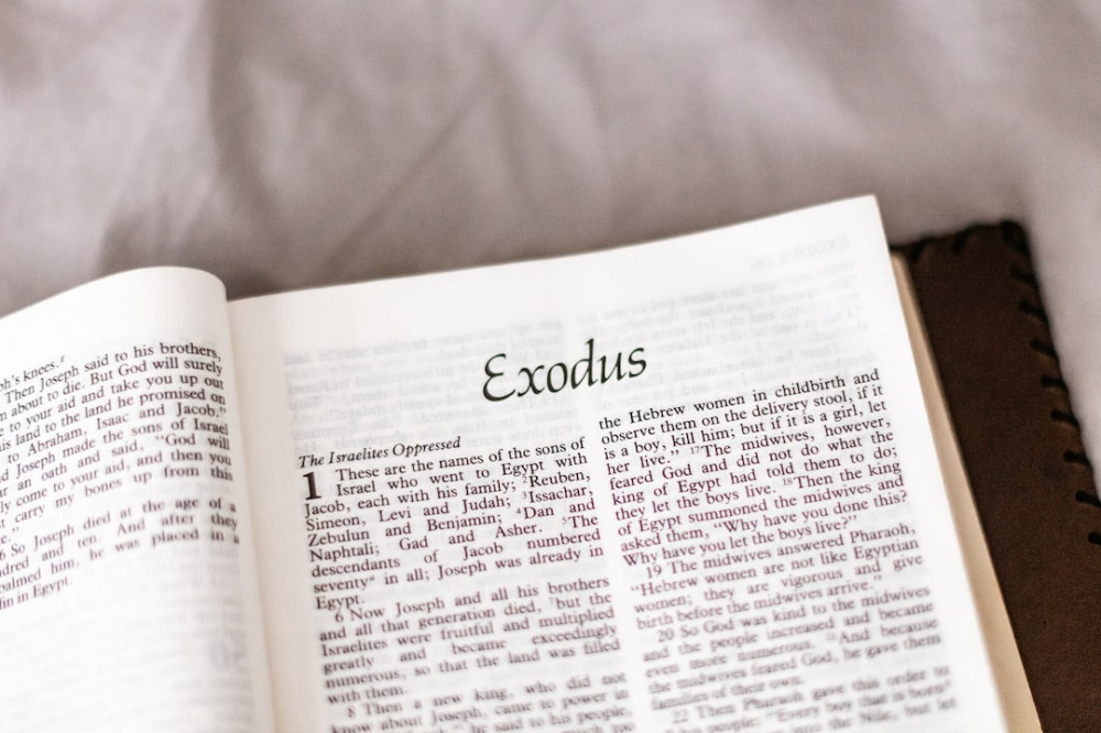 Exodus Chapter 4 Commentary Bible Study Ministry